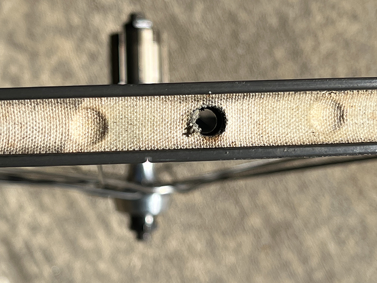 Road Bicycle wheels built with Shimano Exage hubs - South Salem Cycleworks